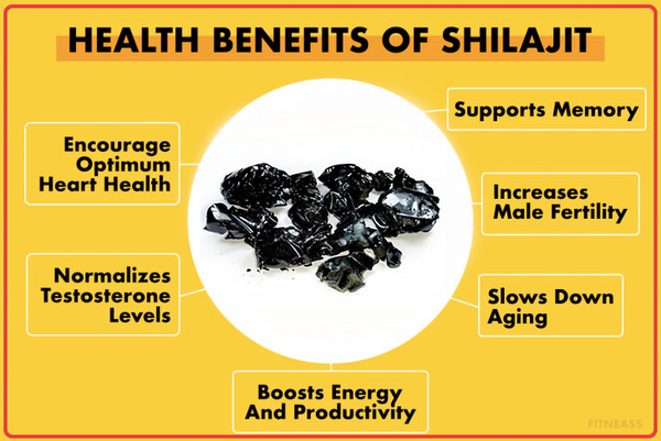 Benefits of Shilajit use